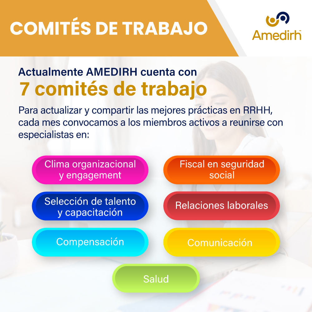 Tienda - Amedirh Store